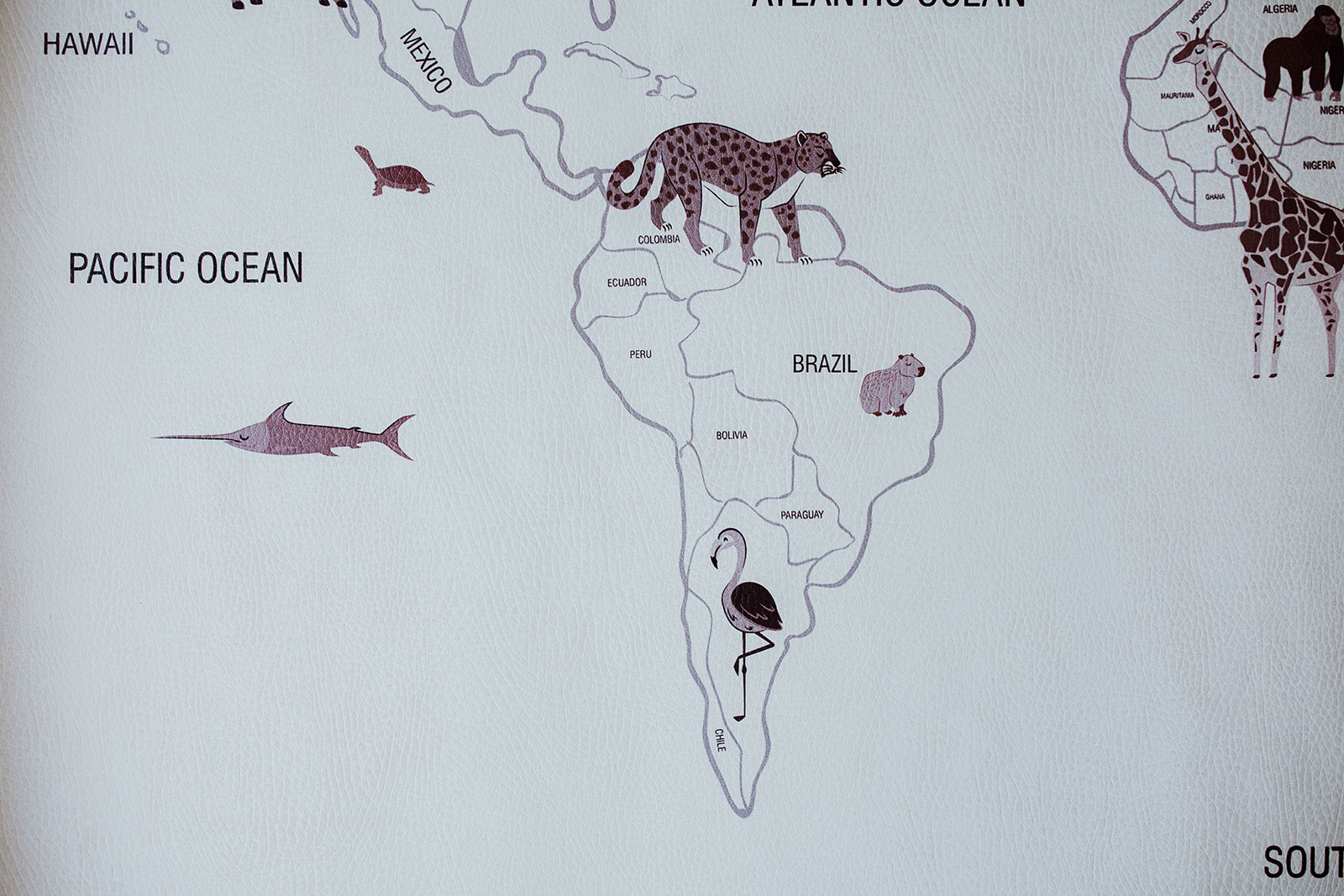 Animal World Map Play Mat – My Little Map